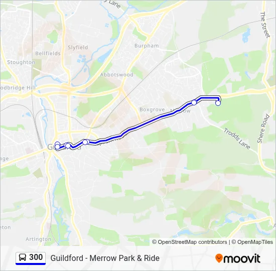 300 Route: Schedules, Stops & Maps - Guildford (Updated)
