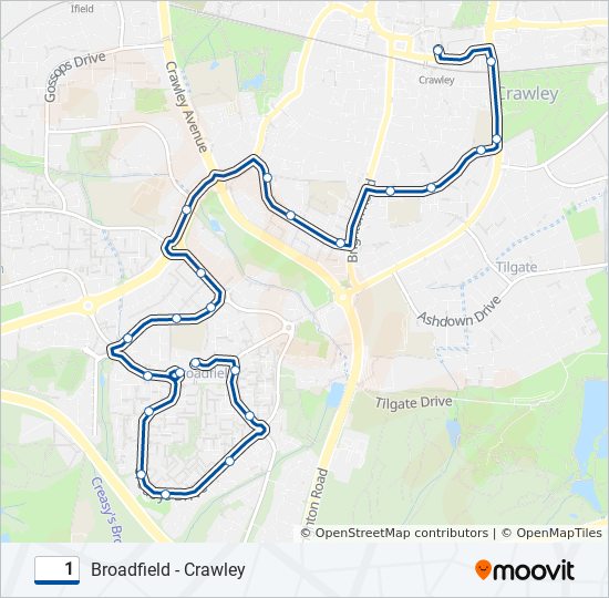 1 Route: Schedules, Stops & Maps - Crawley (Updated)