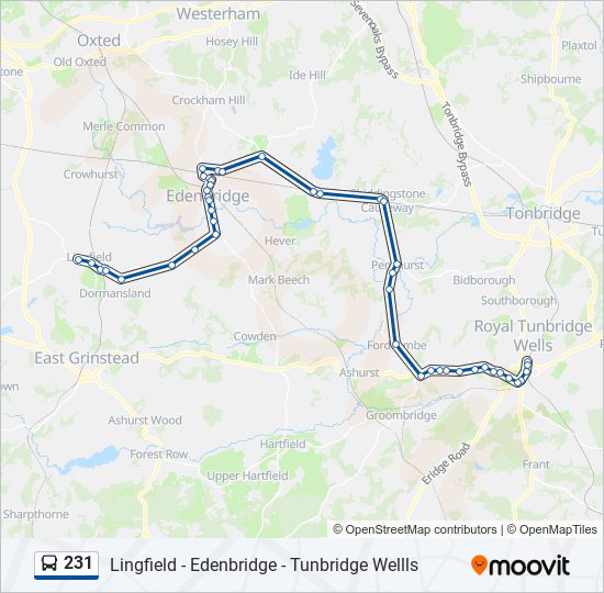 231 Route: Schedules, Stops & Maps - Tunbridge Wells (Updated)