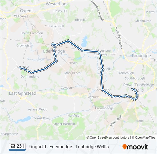 231 Route: Schedules, Stops & Maps - Lingfield (Updated)