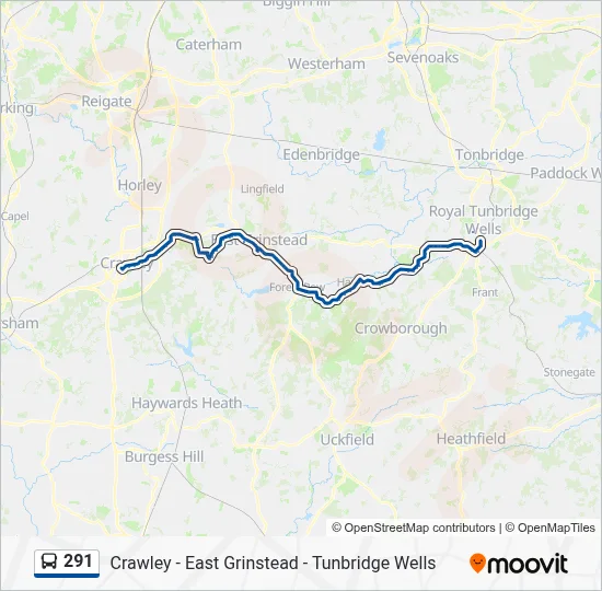 291 Route: Schedules, Stops & Maps - Tunbridge Wells (Updated)