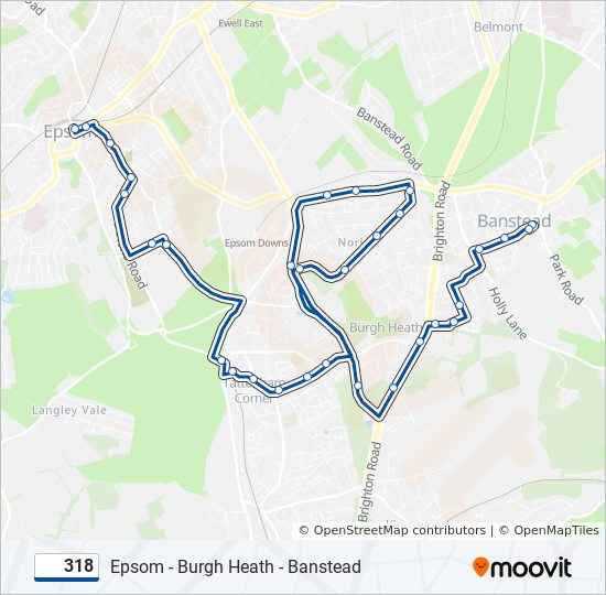 318 Route: Schedules, Stops & Maps - Banstead (Updated)