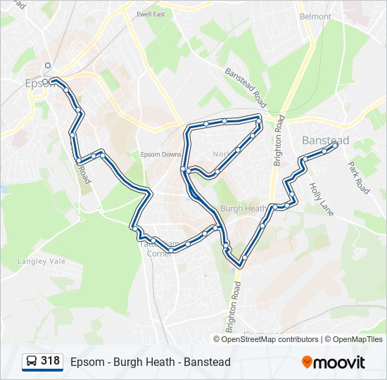318 Route: Schedules, Stops & Maps - Epsom (Updated)