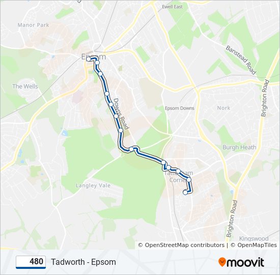 480 Route: Schedules, Stops & Maps - Tadworth (Updated)