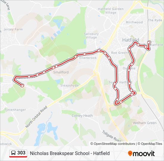 303 Route: Schedules, Stops & Maps - Oaklands (Updated)