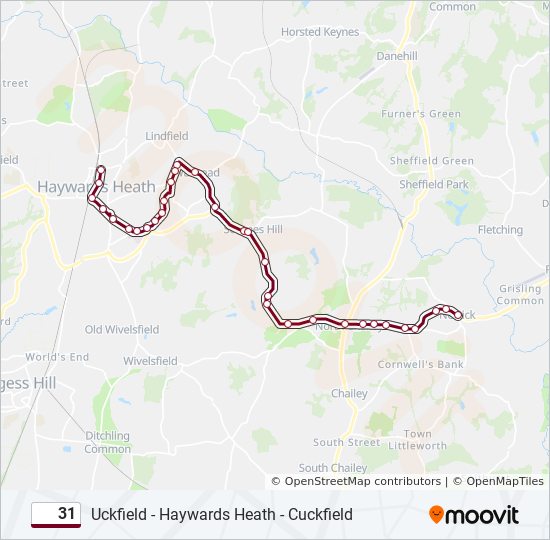 31 Route: Schedules, Stops & Maps - Newick (Updated)
