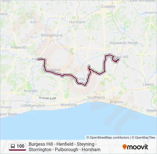100 Route: Schedules, Stops & Maps - Pulborough (Updated)
