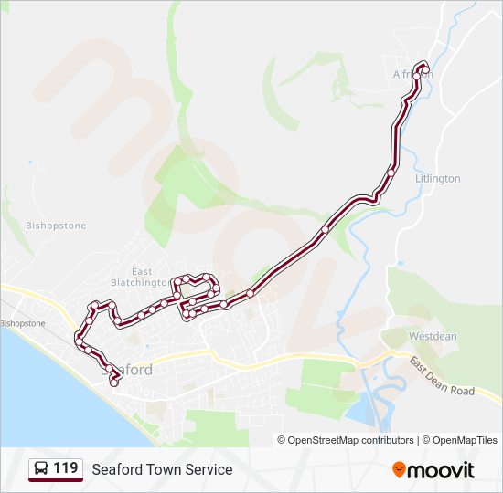 119 Route: Schedules, Stops & Maps - Alfriston (Updated)