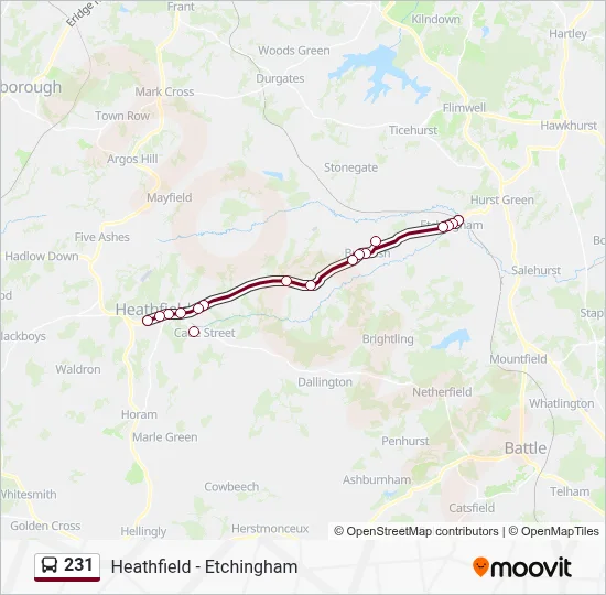 231 Route: Schedules, Stops & Maps - Etchingham (Updated)