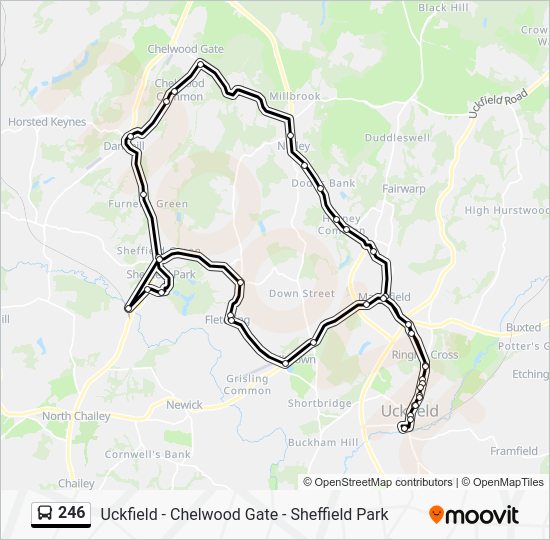 246 Route: Schedules, Stops & Maps - Uckfield (Updated)