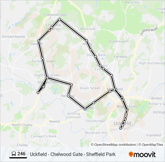 246 Route: Schedules, Stops & Maps - Uckfield (Updated)