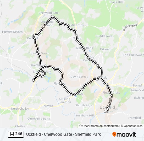 246 Route: Schedules, Stops & Maps - Uckfield (Updated)