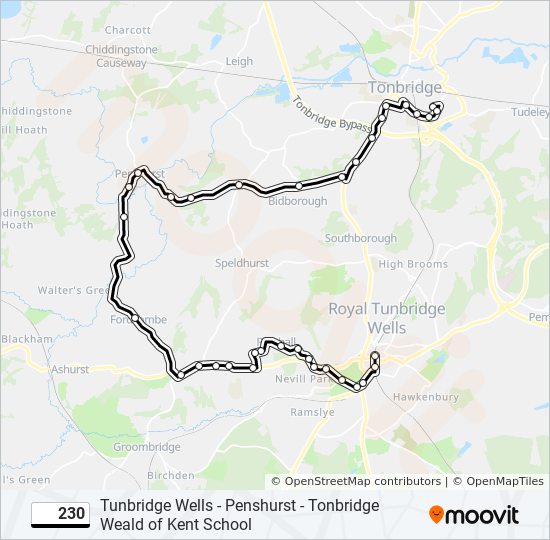 230 Route: Schedules, Stops & Maps - Tunbridge Wells (Updated)