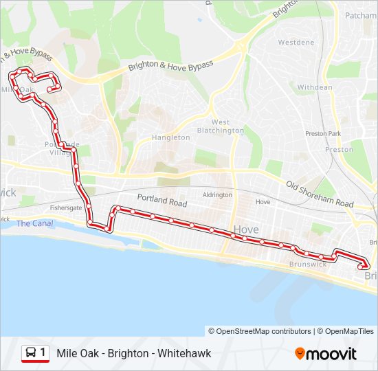 1 Route: Schedules, Stops & Maps - Brighton (Updated)