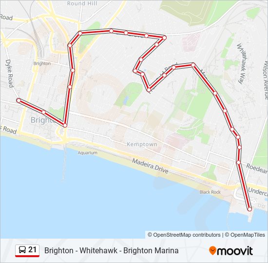 21 Route: Schedules, Stops & Maps - Brighton (Updated)