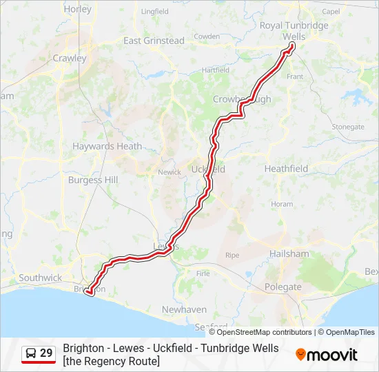 29 Route: Schedules, Stops & Maps - Tunbridge Wells (Updated)