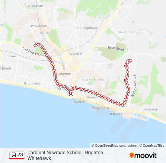 73 Route: Schedules, Stops & Maps - Hove (Updated)