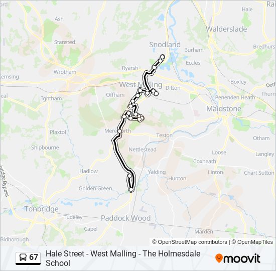 67 Route: Schedules, Stops & Maps - Ham Hill (Updated)