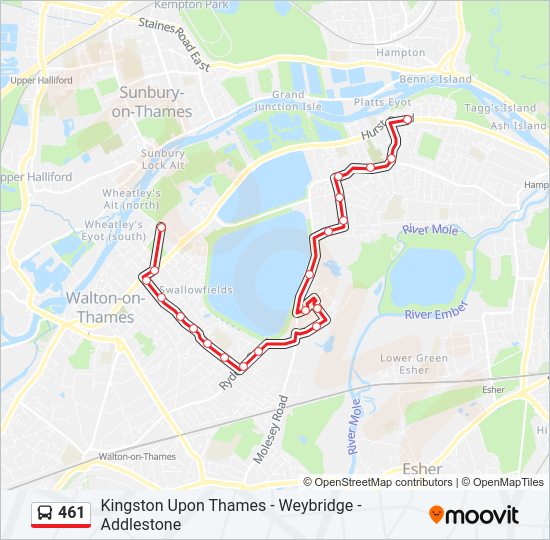 461 Route: Schedules, Stops & Maps - Hurst Park (Updated)