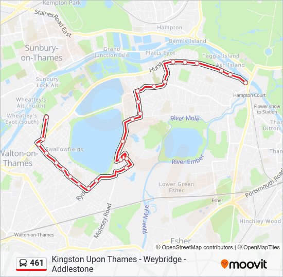 461 Route: Schedules, Stops & Maps - East Molesey (Updated)
