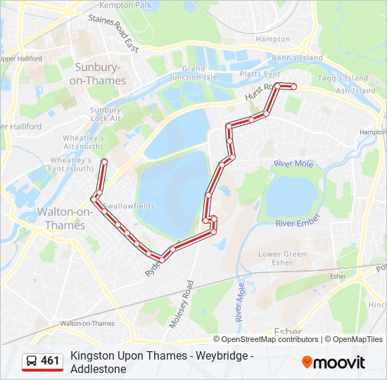 461 Route: Schedules, Stops & Maps - Hurst Park (Updated)