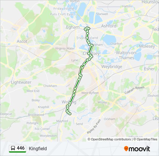 446 Route: Schedules, Stops & Maps - Kingfield (Updated)