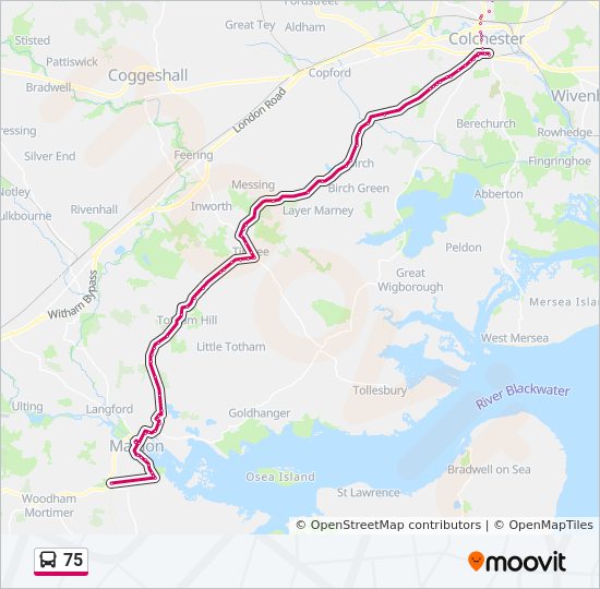 75 Route: Schedules, Stops & Maps - (Updated)