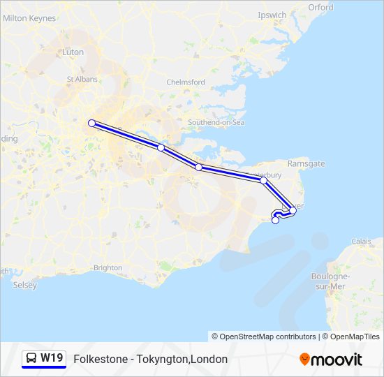 W19 Route: Schedules, Stops & Maps - Tokyngton (Updated)