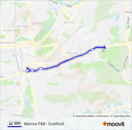 300 Route: Schedules, Stops & Maps - Guildford (Updated)