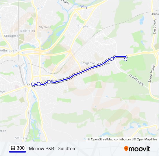 300 Route: Schedules, Stops & Maps - Guildford (Updated)