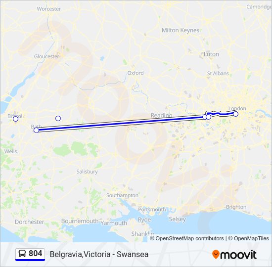 804 Route: Schedules, Stops & Maps - Belgravia (Updated)