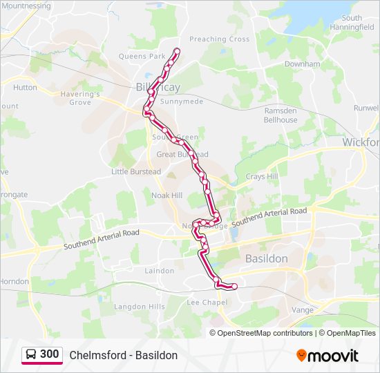 300 Route: Schedules, Stops & Maps - Billericay (Updated)