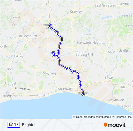 17 Route: Schedules, Stops & Maps - Brighton (Updated)
