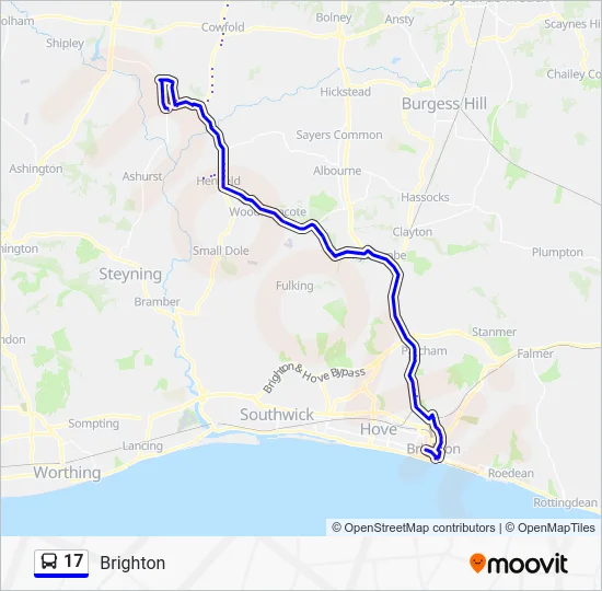17 Route: Schedules, Stops & Maps - Brighton (Updated)