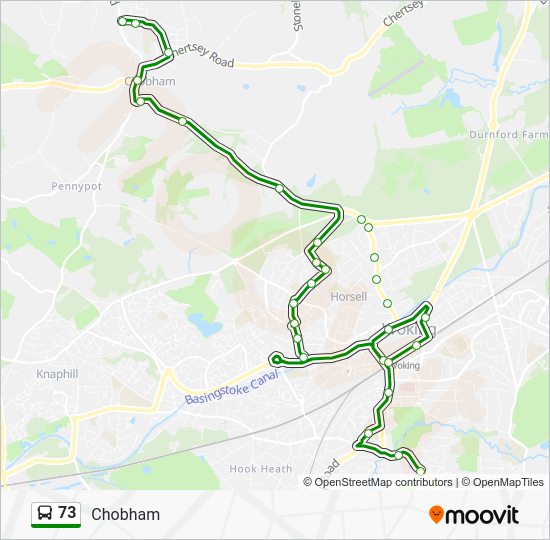 73 Route: Schedules, Stops & Maps - Chobham (Updated)