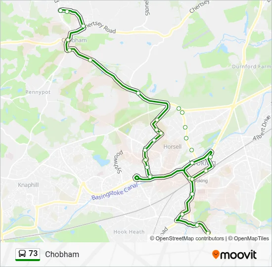 73 Route: Schedules, Stops & Maps - Chobham (Updated)