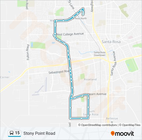 15 Route: Schedules, Stops & Maps - Stony Point Road (Updated)