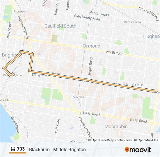 703 Route: Schedules, Stops & Maps - Middle Brighton (Updated)
