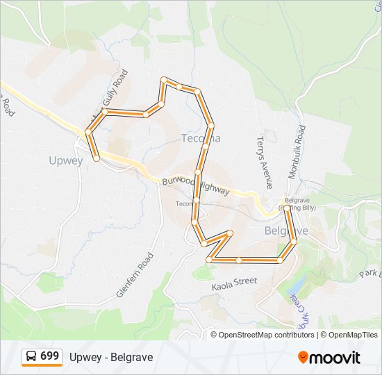 699 Route: Schedules, Stops & Maps - Belgrave (Updated)