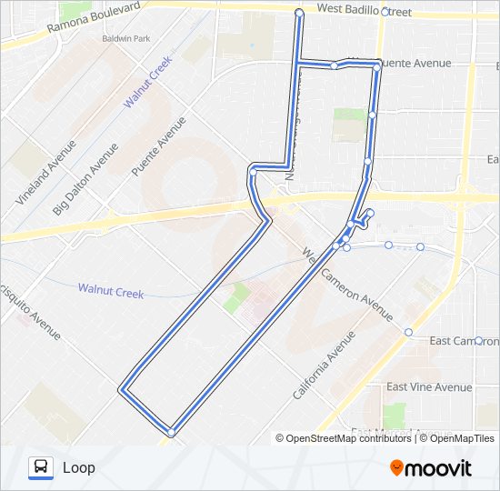 blue line Route: Schedules, Stops & Maps - Loop (Updated)