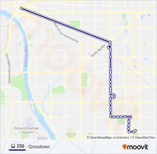 250 Route: Schedules, Stops & Maps - To Downtown (Updated)