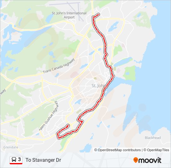 3 Route: Schedules, Stops & Maps - Downtown - Stavanger Dr (Updated)