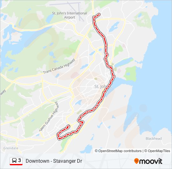 3 Route: Schedules, Stops & Maps - Downtown - Stavanger Dr (Updated)