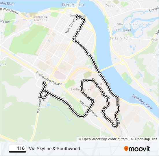116 Route: Schedules, Stops & Maps - Via Skyline & Southwood (Updated)