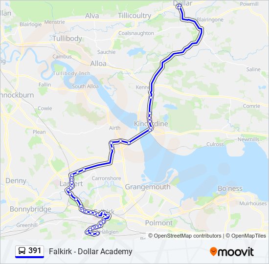 391 Route: Schedules, Stops & Maps - Dollar (Updated)
