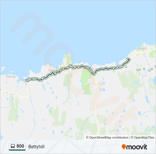 800 Route: Schedules, Stops & Maps - Bettyhill (Updated)