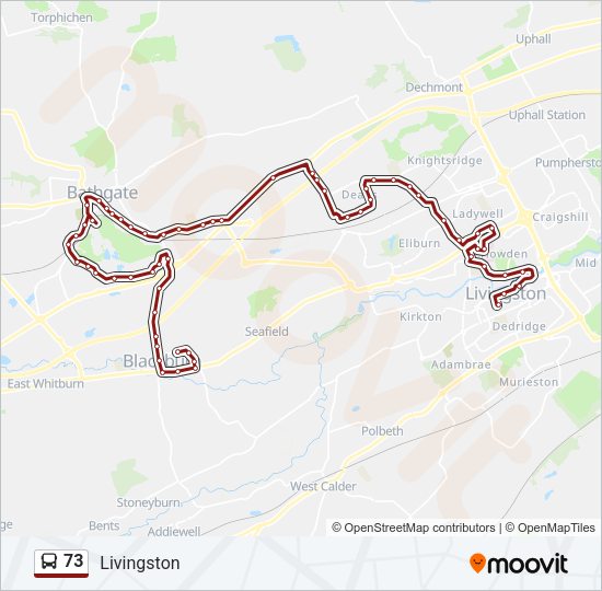 73 Route: Schedules, Stops & Maps - Livingston (Updated)
