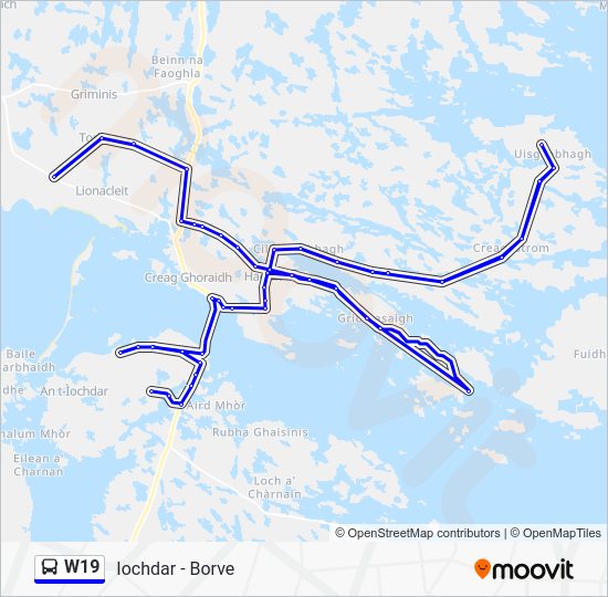 W19 Route: Schedules, Stops & Maps - Borve (Updated)