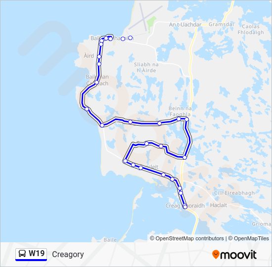 W19 Route: Schedules, Stops & Maps - Creagory (Updated)