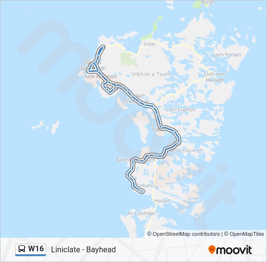 W16 Route: Schedules, Stops & Maps - Bayhead (Updated)